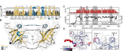 Characterization Of The Atmed25 Acid Domain Structure Using Nmr Md And Download Scientific