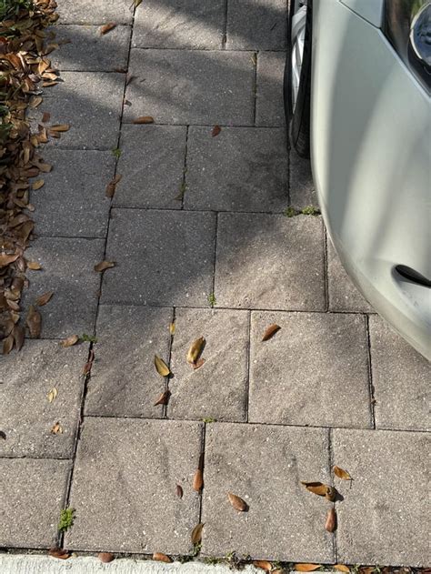 Where Can I Find These Pavers R Miami