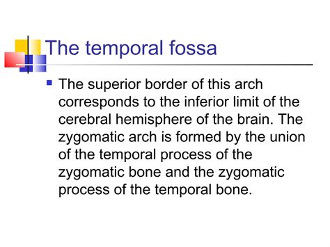Infratemporal Fossa PPT