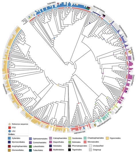 closed reference clustering of otus and phylogenetic trees at different