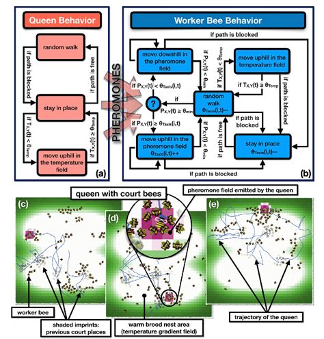 Figure 11 From A Minimally Invasive Approach Towards Ecosystem Hacking