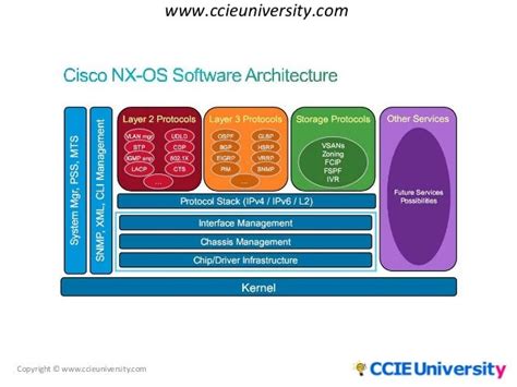 Describing Cisco Nx Os Software