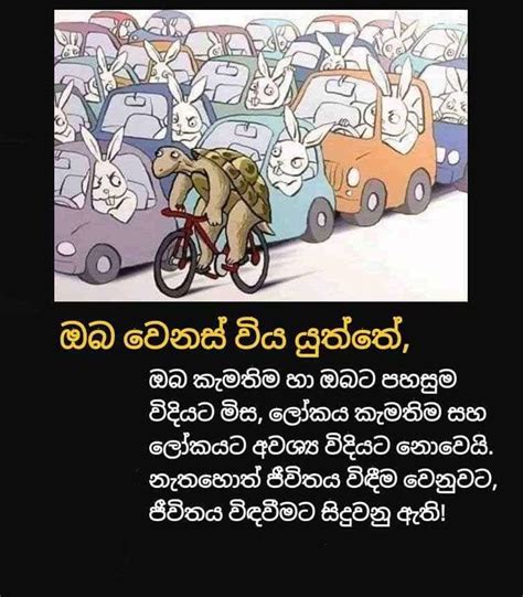 Kushan Tharaka Posted On Linkedin