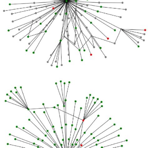 Connected Graph Of A Considered Transaction Before And After Classification Download