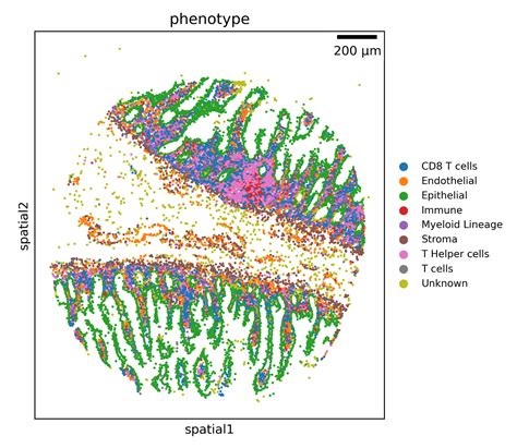Hands On End To End Tissue Microarray Image Analysis With Galaxy Me End To End Tissue