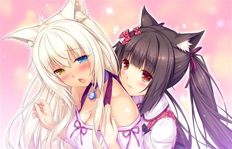 Anime Nekopara Chocola Nekopara Coconut Nekopara P Wallpaper Hdwallpaper Desktop