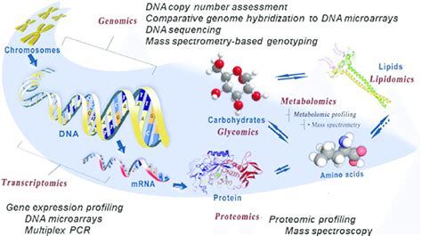 12 Illustration Of The Array Of Omics Approaches Developed Many Of