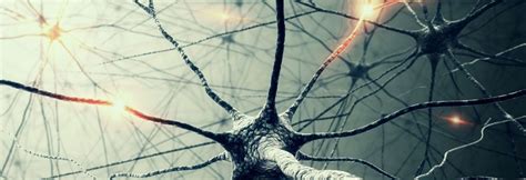 Effective Maximum A Posteriori Map Estimate In Machine Learning Adhocmaster