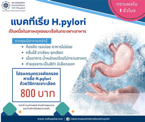 😳h Pylori เชื้อแบคทีเรียในกระเพาะอาหาร ตัวการที่ทำให้เกิดแผลในกระเพาะอาหาร และมะเร็งกระเพาะ