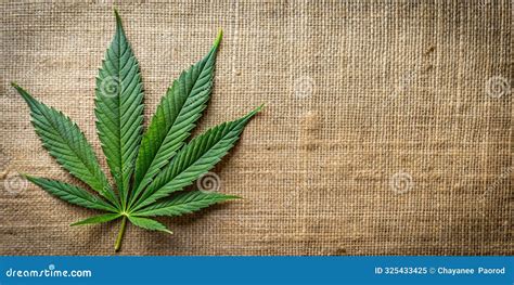 Fresh Organic Top View Hemp Leaf Background Creative Ai Stock