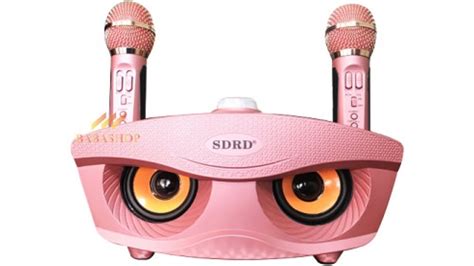 Top 6 dòng loa karaoke mini chính hãng bạn có thể tham khảo