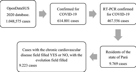 Selection Flowchart Of Participants Download Scientific Diagram