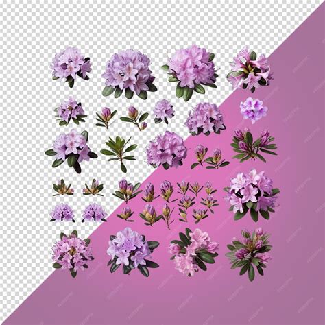 Lilac Design Png Premium Ai Generated Psd