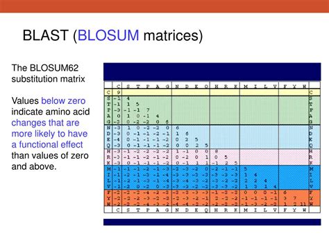 Ppt Pairwise Sequence Alignment Powerpoint Presentation Free Download Id3726923