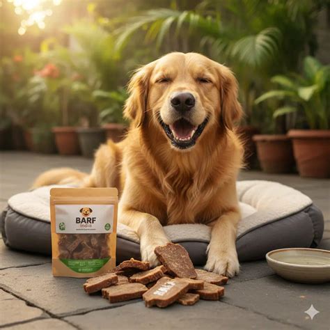 Labrador Price In India Cost Factors And Buying Guide 2026