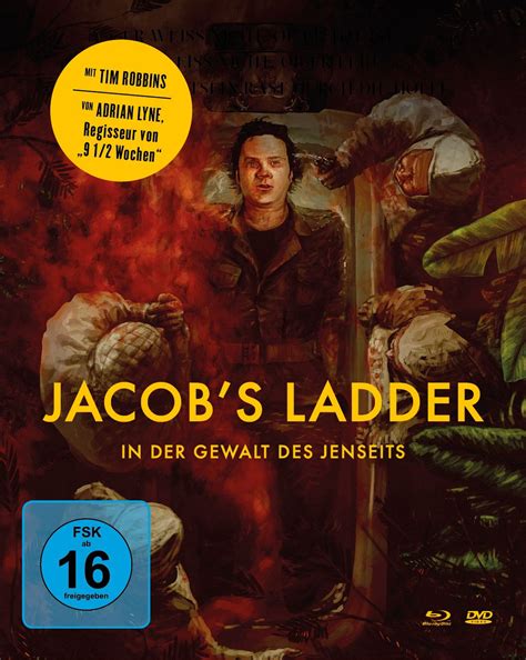 Jacobs Ladder Plot Jacobs Ladder Summary Fzlmqm