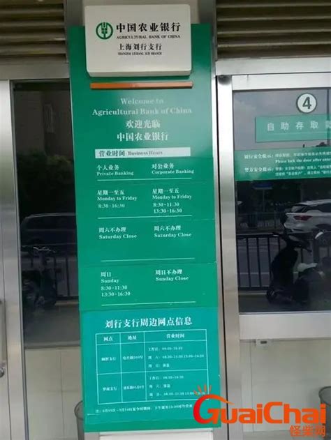 第432页 猎奇八卦 怪柴网