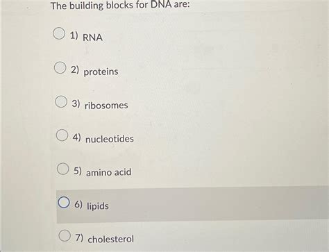 Solved The Building Blocks For DNA Chegg Com