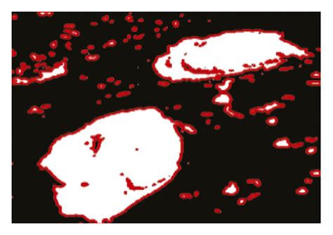 Segmentation Results With The Proposed Model A B The Segmentation Download Scientific