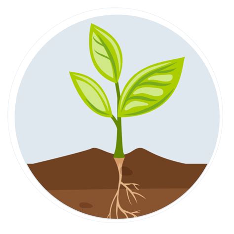 Plant Growth Stages An Overview Agrowtronics Iiot For Growing