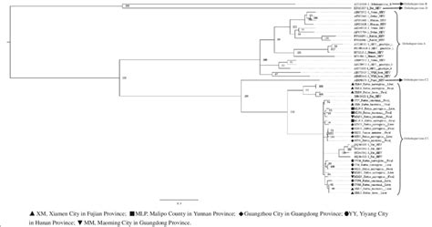 Phylogenetic Tree Constructed Based On Partial Nucleotide Sequences Of