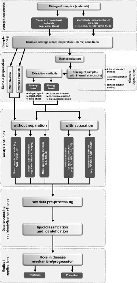 A Workflow For Lipidomics Analysis Procedure Download Scientific Diagram