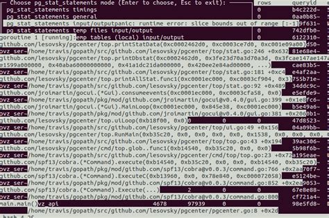 Runtime Error Slice Bounds Out Of Range 1 · Issue 73 · Lesovsky