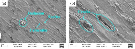 Fatigue Fracture Cross Sectional Microstructure Of The Specimen Under Download Scientific