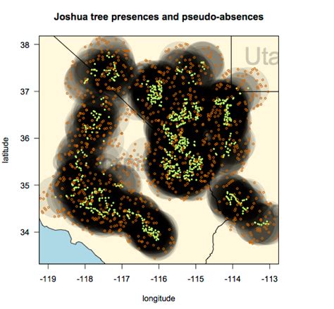 Species Distribution Models In R The Molecular Ecologist