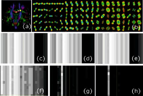 Real Data Qualitative Rotation Invariance Test And Comparison With