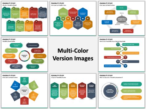 Feasibility Study PowerPoint And Google Slides Template PPT Slides