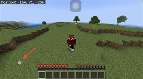 how to hide the cursor r minecraft