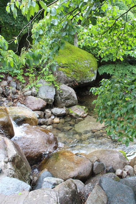 산청 계곡 펜션 여름 방문하기 좋은 가족펜션 지리산펜션 자연속힐링펜션 네이버 블로그