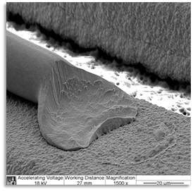 Failure Analysis Capability