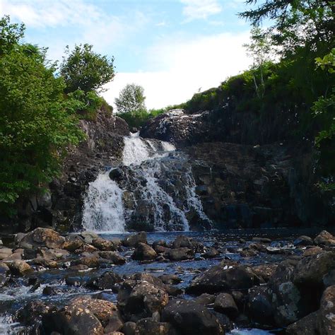 The Fossilised Tree Treshnish Holiday Cottages