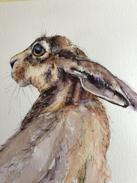 Bev Caleno Beginners Pen And Watercolour Hare Sorry Fully Booked