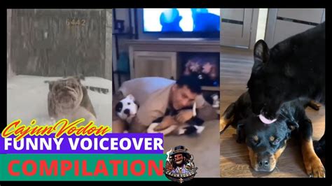 Best Voiceover Compilation Ep 1 Youtube