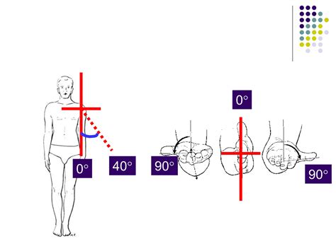 Basic Kinematic Concepts For Physical Education Students Ppt