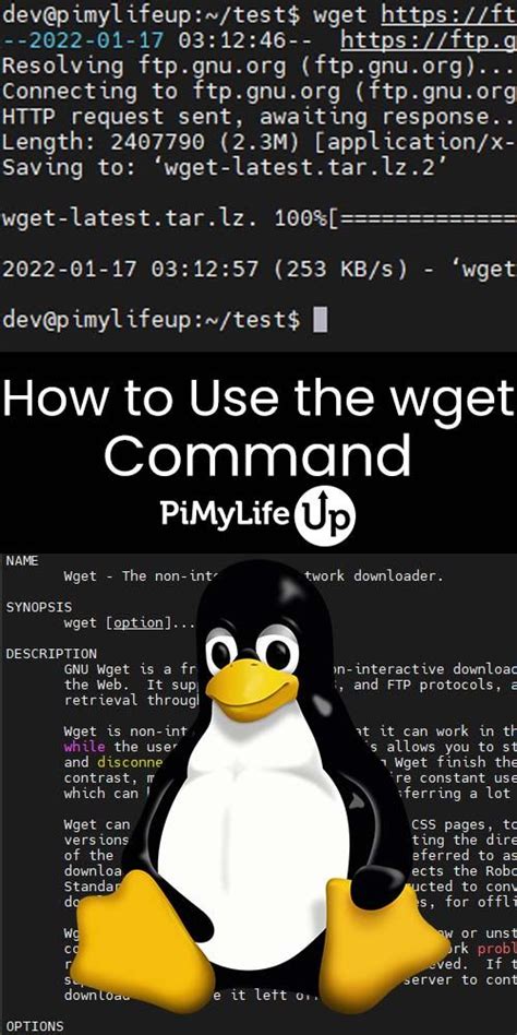 What Is Linux File System Artofit