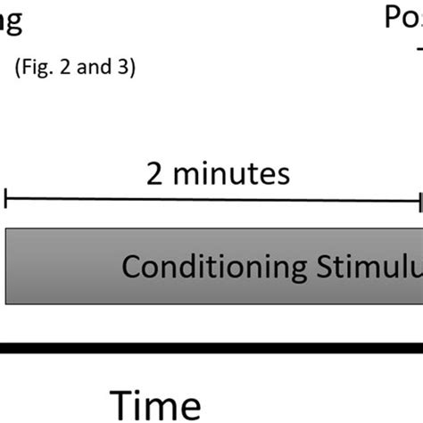 CPM Testing Paradigm Illustration With The Timeline Of Download Scientific Diagram