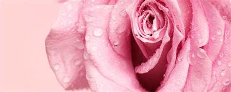 Natural Remedies For Vaginal Dryness Icore Method