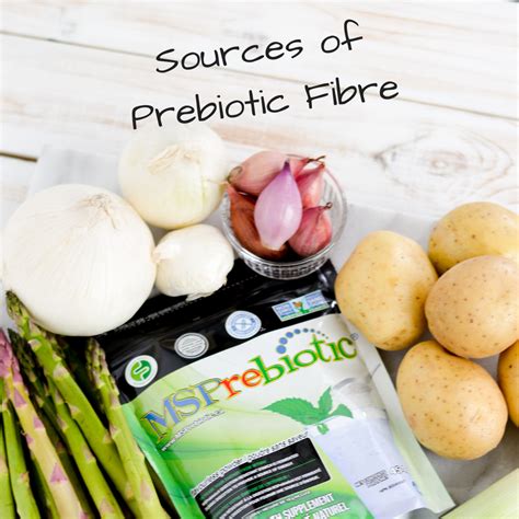 How Prebiotics Help Gut Health Ignite Nutrition
