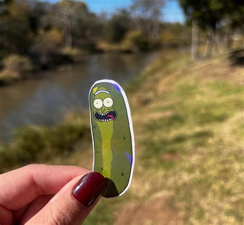Funny Pickle Sticker Pack Pickle Rick Sticker Pack Rick Morty Adults Swim Funny Sticker Im A
