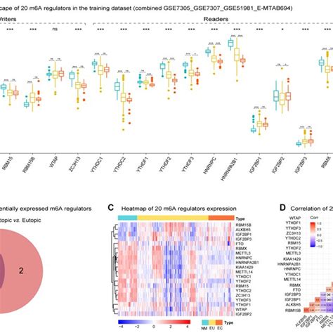the mrna expression landscape of 20 m6a regulators in the training