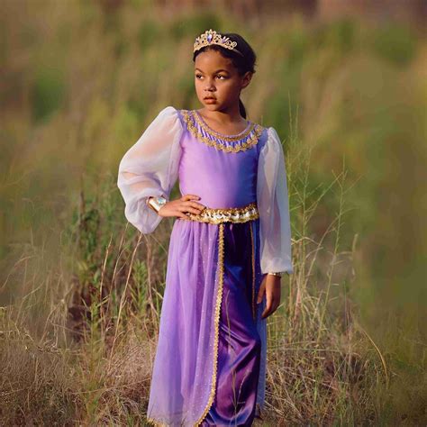 Princess Jasmine Costume Purple Purple Womens Princess Jasmine Costume
