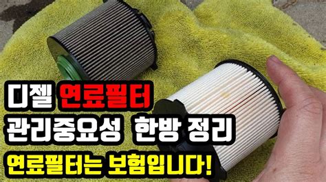 디젤연료필터 반드시 교환해야 하는이유 Youtube