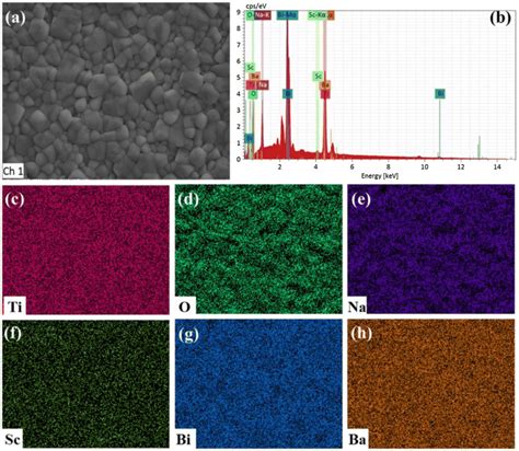 Element Mapping Of The X 003 Ceramics A Sem Micrograph B Eds Data