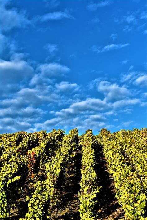 Gilles Ragot Gallery