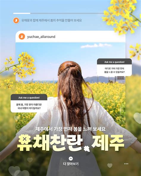 제주 여행 망고보드 Sns 템플릿 4 5 2025 웹 디자인 레이아웃 디자인 프레젠테이션 레이아웃