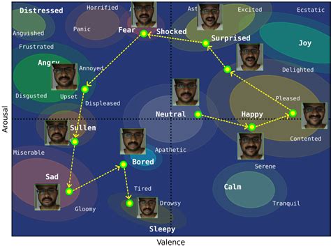 [論文レビュー] Xtrace A Facial Expressive Behaviour Analysis Tool For Continuous Affect Recognition
